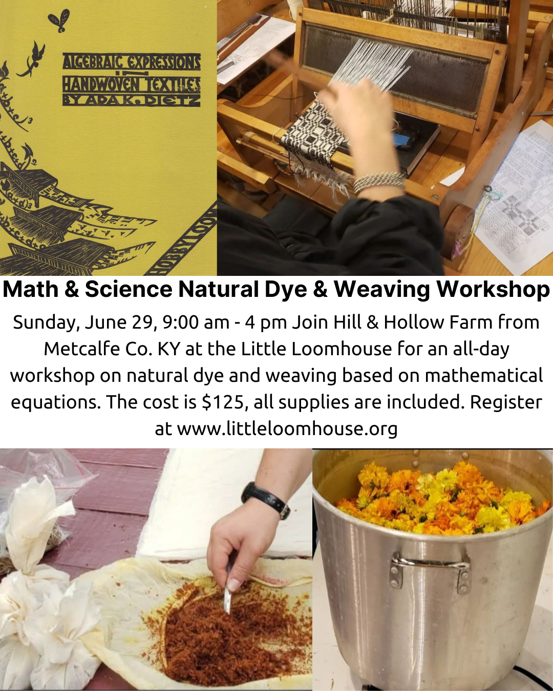 Math & Science Natural Dye & Weaving Workshop | The Little Loomhouse